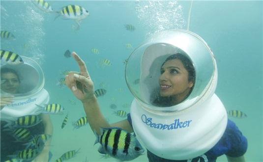 Sea Walk and Snorkeling tour with Antilog Vacations at Havelock Andaman