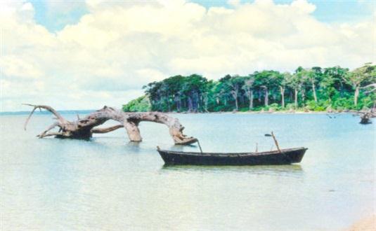 Wandoor Beach tour with Antilog Vacations at Port Blair Andaman