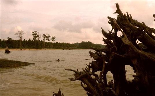 Wandoor Beach tour with Antilog Vacations at Port Blair Andaman