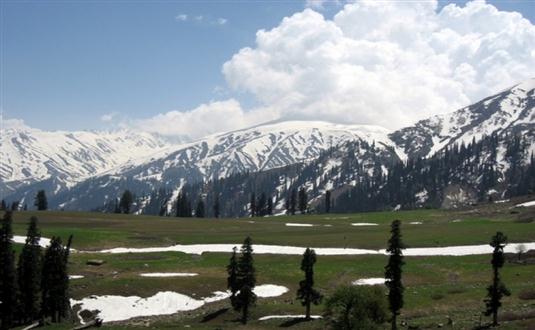 Ningle Nallah tour with Antilog Vacations at Gulmarg Kashmir