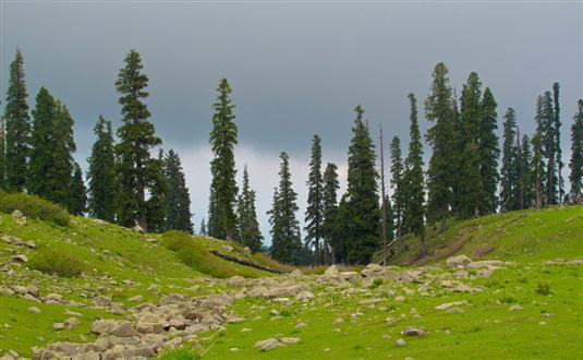 Ningle Nallah tour with Antilog Vacations at Gulmarg Kashmir