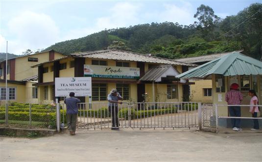 Tea Museum tour with Antilog Vacations at Munnar Kerala