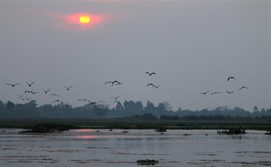 Birding at maguri-motapung beel at Maguri bill tour with Antilog ...