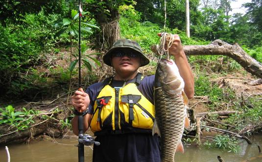 Houseboat stay at Guijan tour with Antilog Vacations at Assam North East