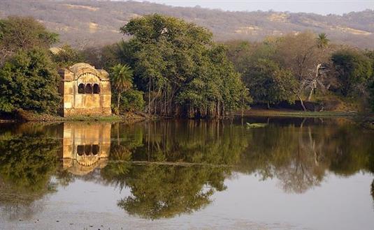 Raj Bagh-ruins tour with Antilog Vacations at Ranthambore Rajasthan