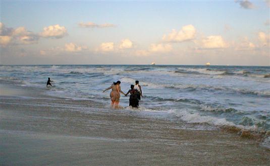 Edward Elliot's Beach tour with Antilog Vacations at Chennai South India