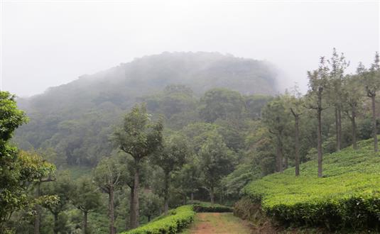 Droog Fort tour with Antilog Vacations at Coonoor South India