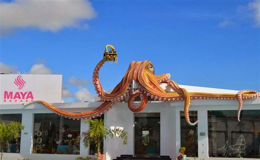 India Seashell Museum tour with Antilog Vacations at Mahabalipuram ...