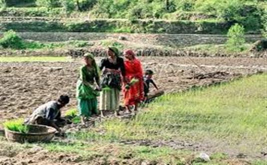 Dwarahat Village tour with Antilog Vacations at Almora Uttarakhand