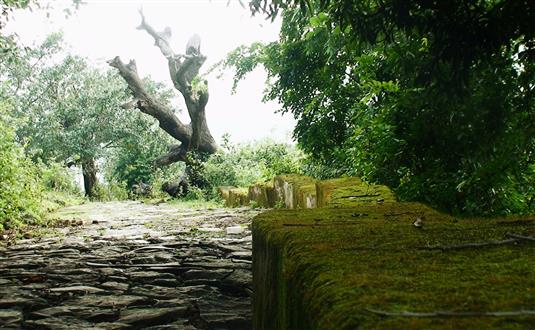 Kanakeshwar forest tour with Antilog Vacations at Alibaug Western India