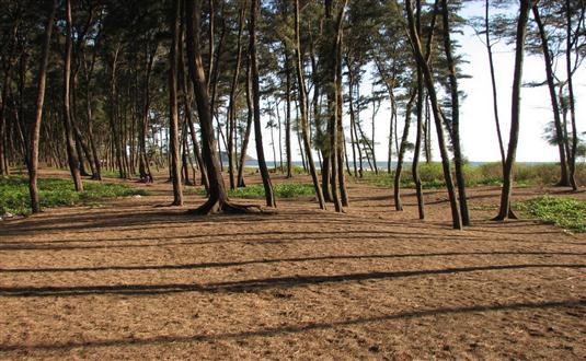 Bhatye Beach tour with Antilog Vacations at Ratnagiri Western India