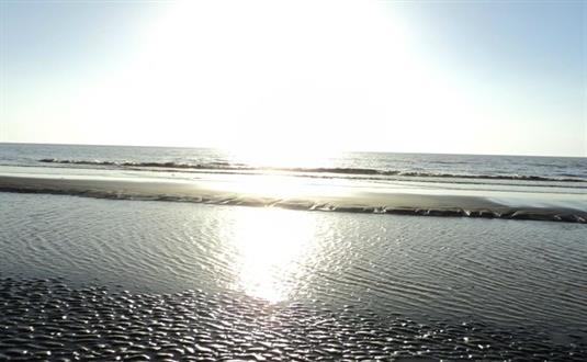 Suvali Beach tour with Antilog Vacations at Surat Western India