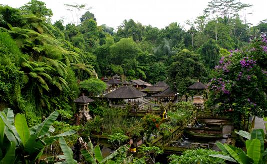 Holy Spring Water temple tour with Antilog Vacations at Bali Bali