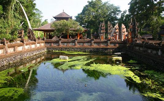 Holy Spring Water temple tour with Antilog Vacations at Bali Bali