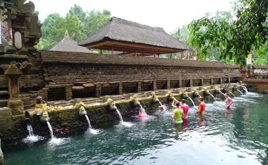 Holy Spring Water temple tour with Antilog Vacations at Bali Bali
