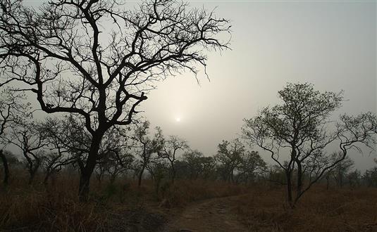 Arli National Park tour with Antilog Vacations at Burkina Faso Burkina Faso