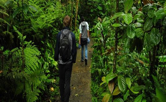 Tree Top Suspension Bridges tour with Antilog Vacations at Monteverde ...