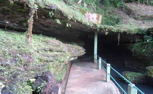 Jumandi Caves tour with Antilog Vacations at Tena Ecuador