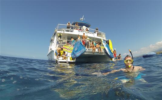 Fijian Islands and Snorkel Full-Day Whales Tale Cruise including Beach ...
