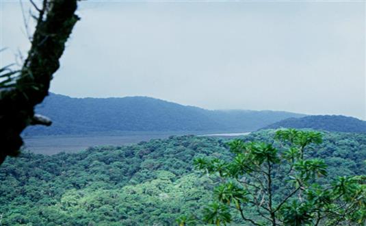 Lake Tagimaucia tour with Antilog Vacations at Taveuni Fiji