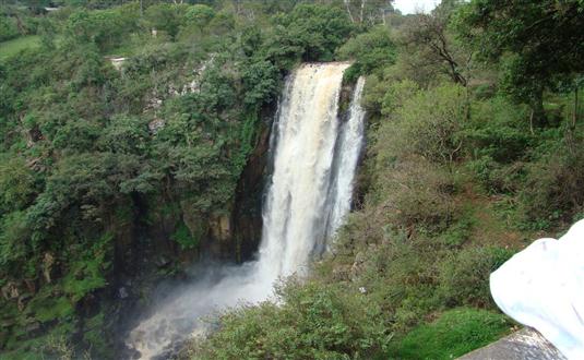 Nyahururu Forest tour with Antilog Vacations at Nakuru Kenya