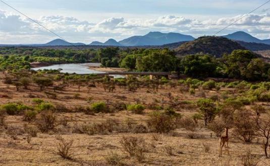 Shaba National Reserve tour with Antilog Vacations at Samburu Kenya