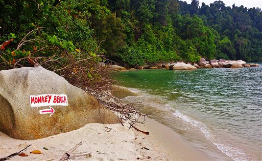 Monkey Beach tour with Antilog Vacations at Penang Malaysia