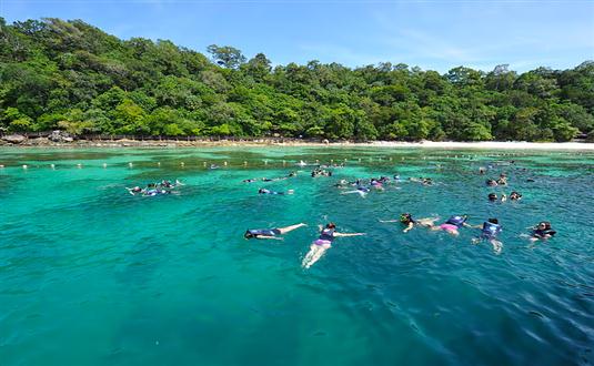 Pulau Payar Marine Park Snorkeling Tour tour with Antilog Vacations at ...