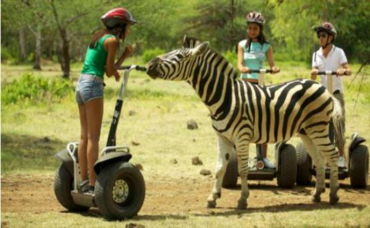 Casela Nature & Leisure Park tour with Antilog Vacations at Mauritius ...