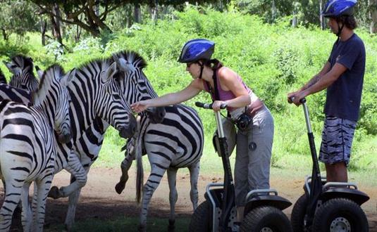 Casela Nature & Leisure Park tour with Antilog Vacations at Mauritius ...