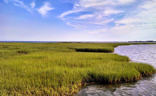 Tuckernuck Island tour with Antilog Vacations at Nantucket USA